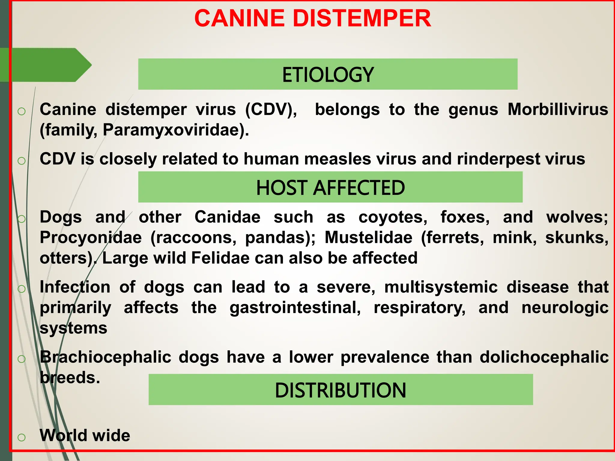Canine distemper in dogs bihar veterinary college | PPTX