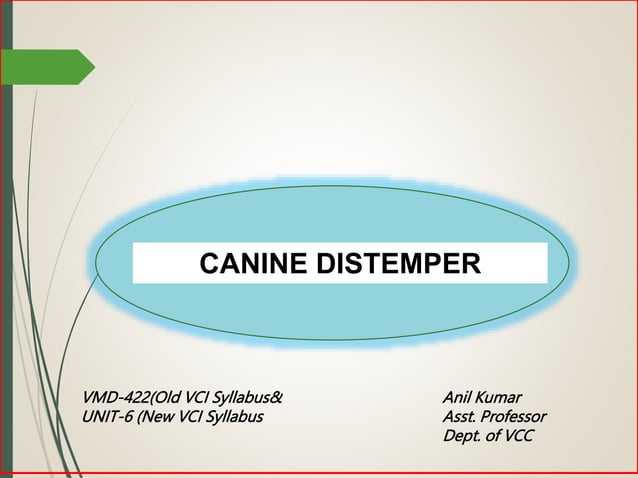 Canine distemper in dogs bihar veterinary college | PPTX | Infectious ...