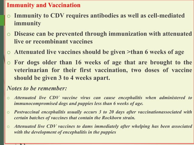 Canine distemper in dogs bihar veterinary college | PPTX | Infectious ...