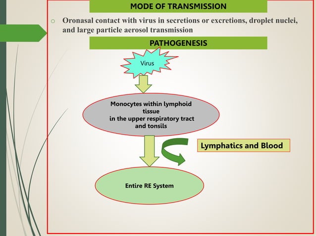 Canine distemper in dogs bihar veterinary college | PPTX | Infectious ...