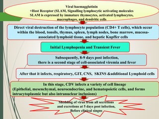 Canine distemper in dogs bihar veterinary college | PPTX | Infectious ...