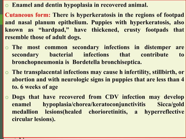 Canine distemper in dogs bihar veterinary college | PPTX | Infectious ...