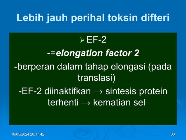 corynebacterium diptheri bakteriumm .ppt