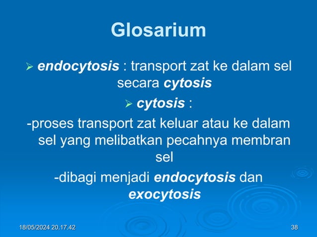 corynebacterium diptheri bakteriumm .ppt