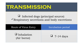 CANINE DISTMPER | PPTX
