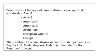CANINE DISTMPER | PPTX