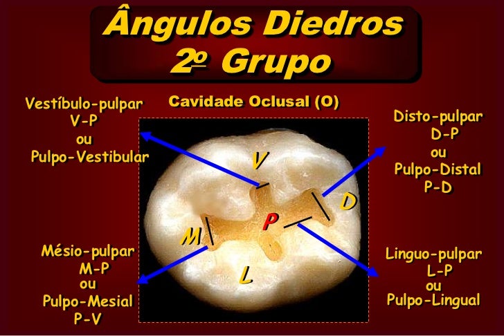 Nomenclatura e classificação de cavidades