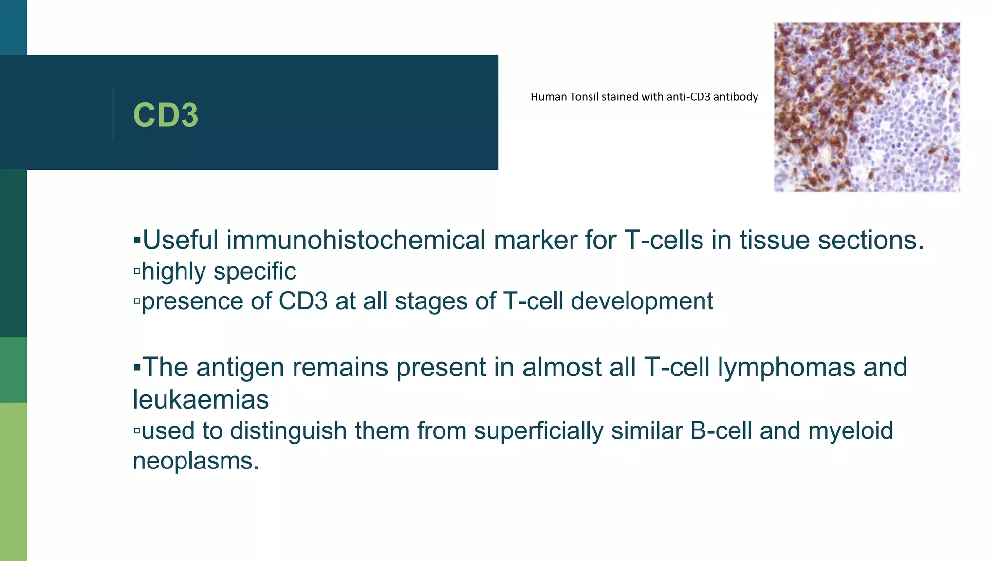 Cluster of differentiation | PPTX