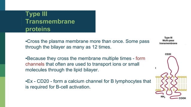 Cluster of differentiation | PPTX