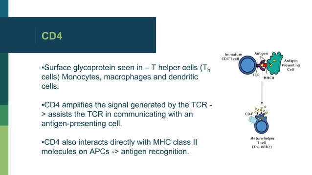 Cluster of differentiation | PPTX