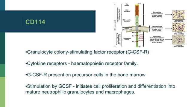 Cluster of differentiation | PPTX