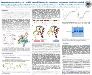 DivSci poster (1) | PPT