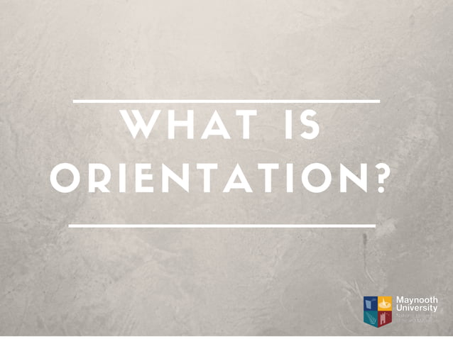 Maynooth Orientation Leader Guide | PDF