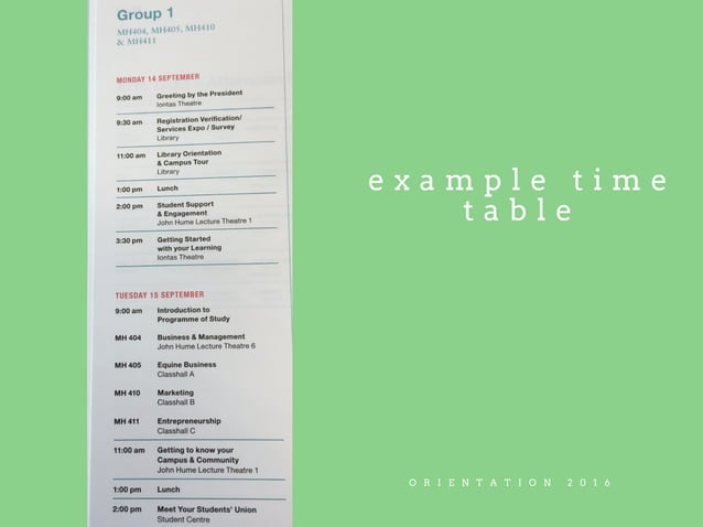 Maynooth Orientation Leader Guide | PDF