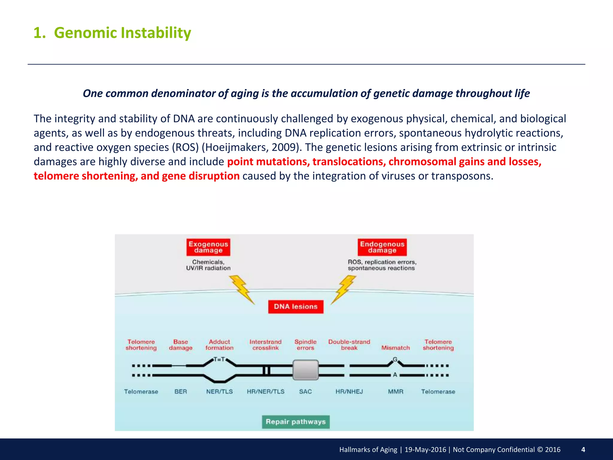 Hallmarks of Aging summary | PDF
