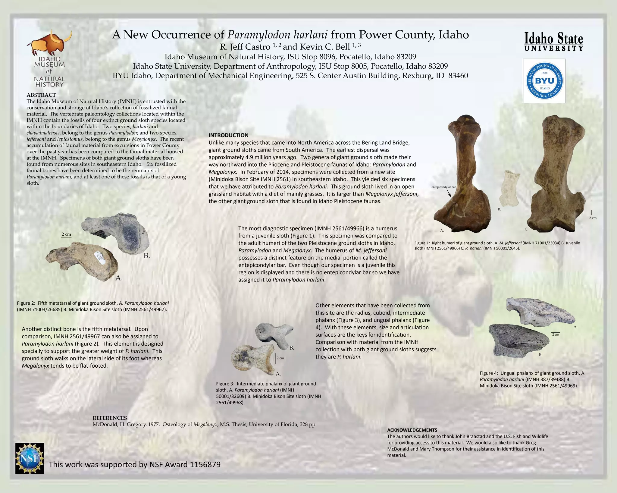 REU Sloth Poster | PPTX