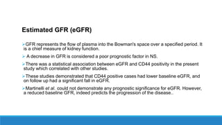 CD44_marker_introduction_immunohistochemistry.pptx