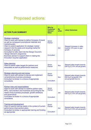 Action Plan Example For Business
