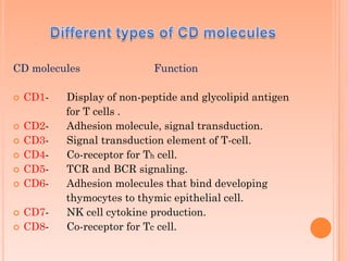 Cd4 and cd8 cells by RK | PDF
