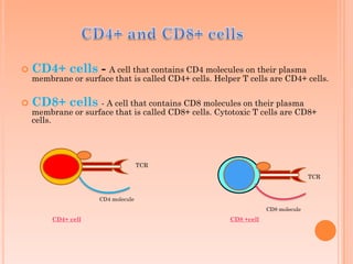 Cd4 and cd8 cells by RK | PDF