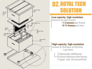 QueenBeeMonitoring (2) | PPTX