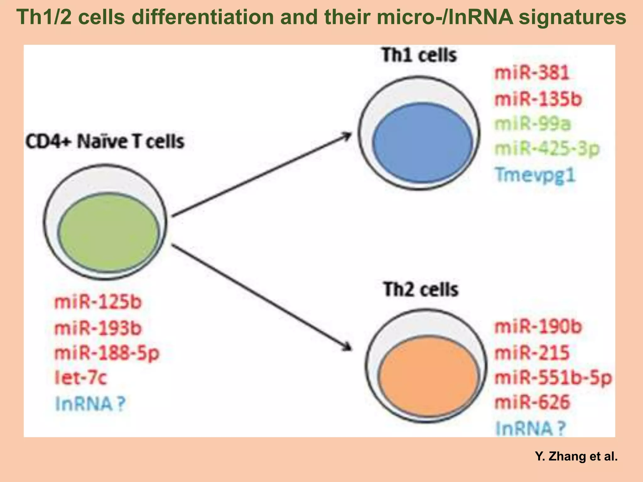 Cd4+ T cell- The 'quarterback' of Immune System. | PPTX