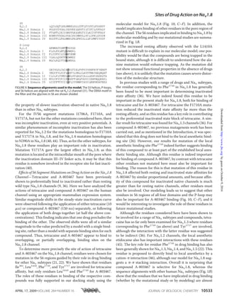 Structural Determinants of Drugs Acting on the Nav1.8 Channel | PDF