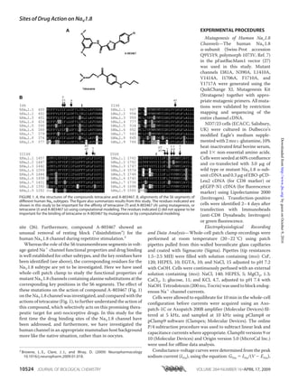 Structural Determinants of Drugs Acting on the Nav1.8 Channel | PDF