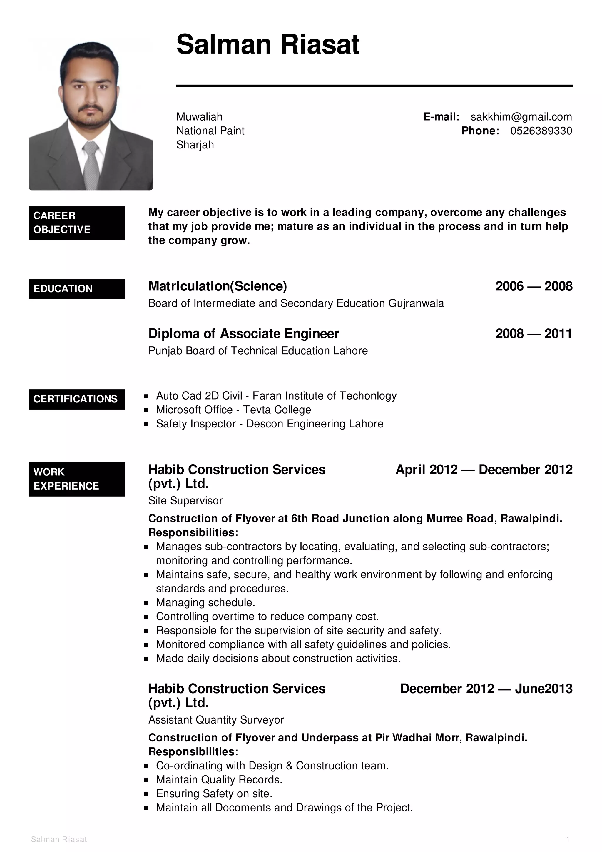 salman cv | PDF