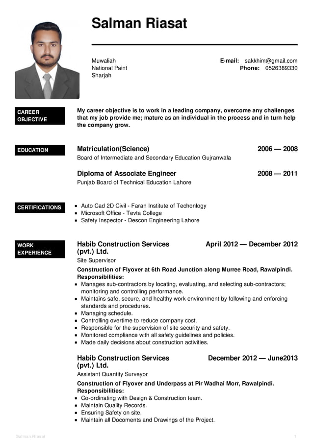 salman cv | PDF