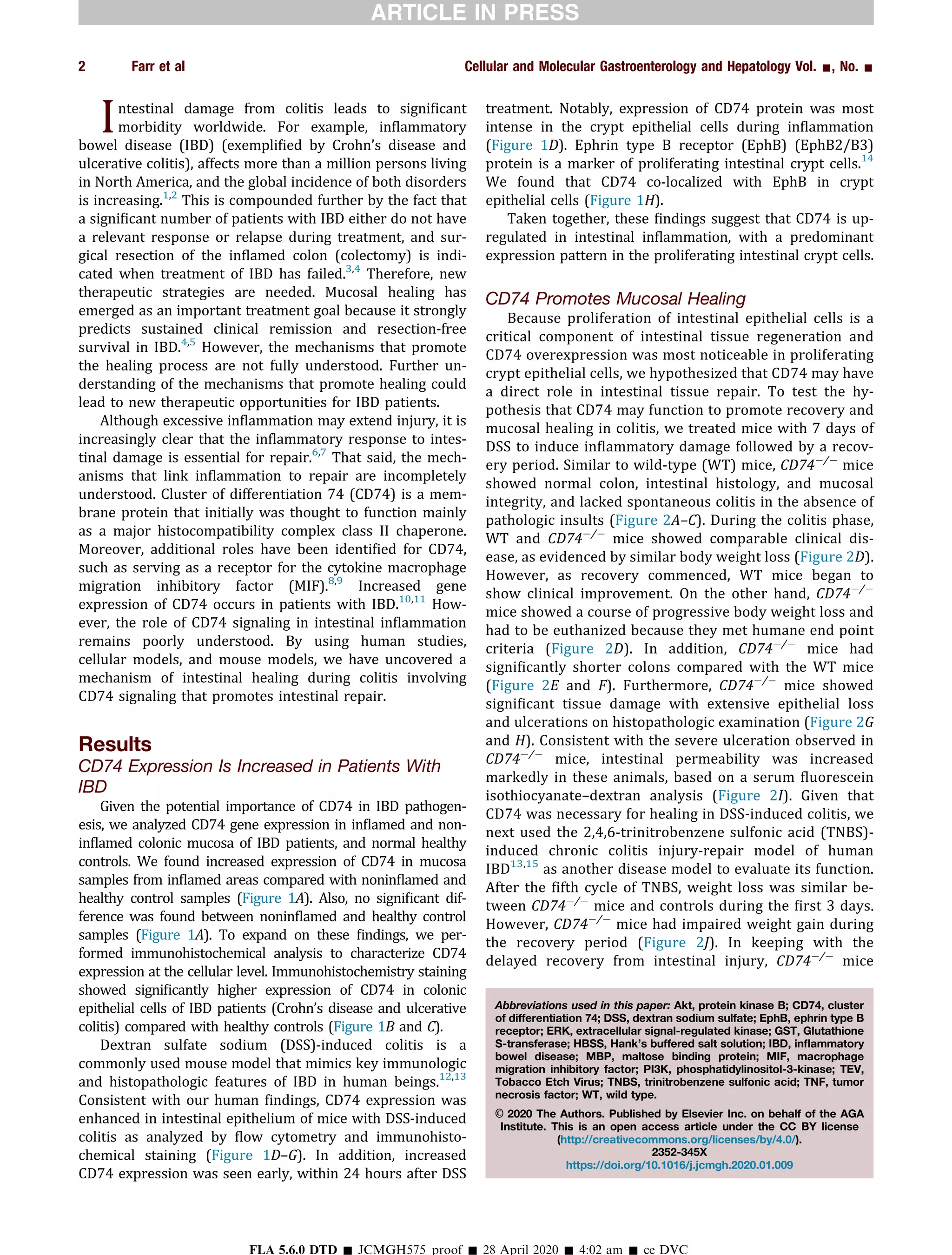 A study describing how the MIF cytokine/CD74 receptor pathway heals the ...