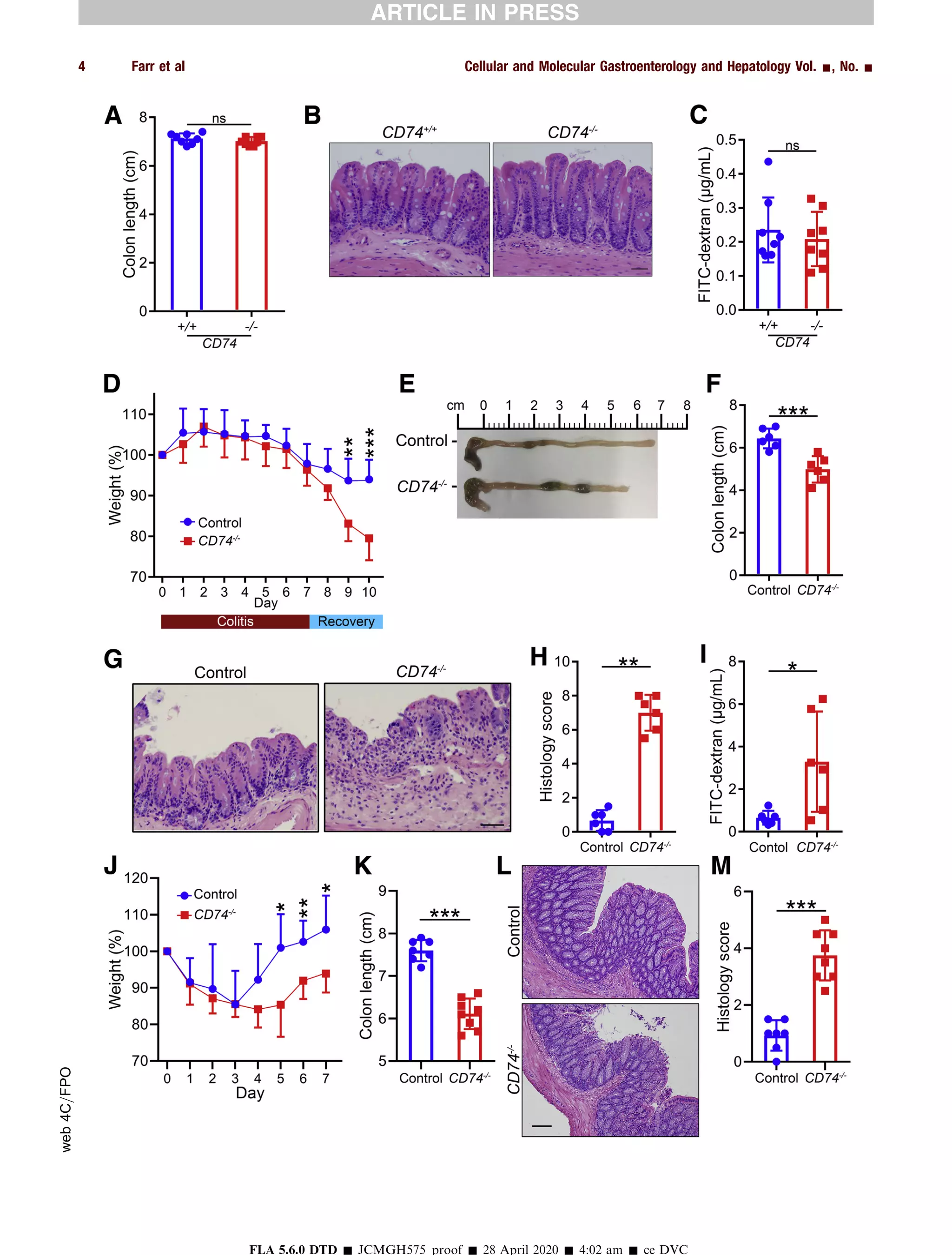 A study describing how the MIF cytokine/CD74 receptor pathway heals the ...