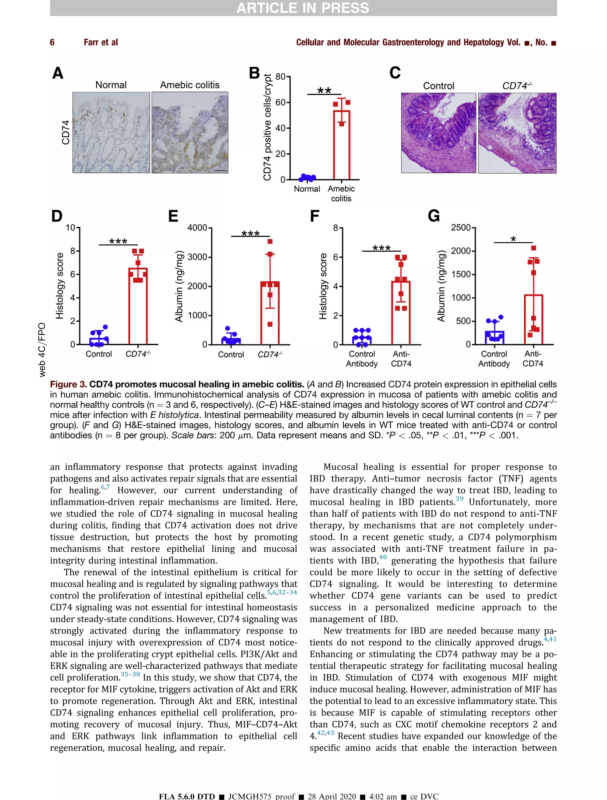A study describing how the MIF cytokine/CD74 receptor pathway heals the ...