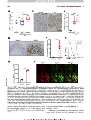 A study describing how the MIF cytokine/CD74 receptor pathway heals the ...