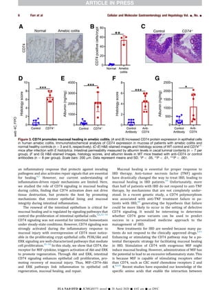 A study describing how the MIF cytokine/CD74 receptor pathway heals the ...