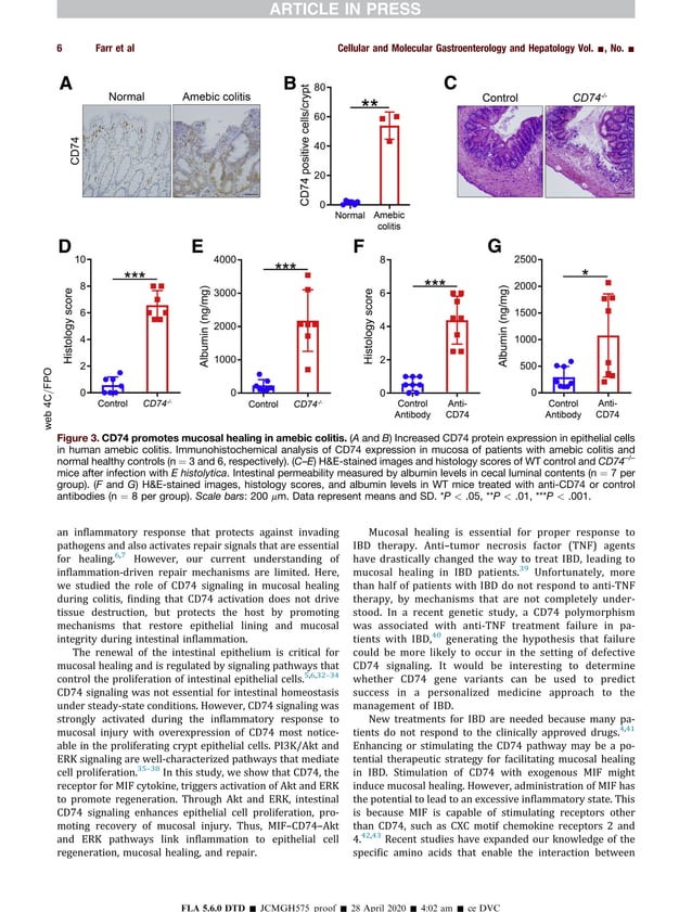 A study describing how the MIF cytokine/CD74 receptor pathway heals the ...
