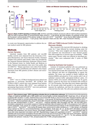 A study describing how the MIF cytokine/CD74 receptor pathway heals the ...