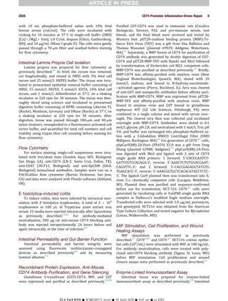 A study describing how the MIF cytokine/CD74 receptor pathway heals the ...