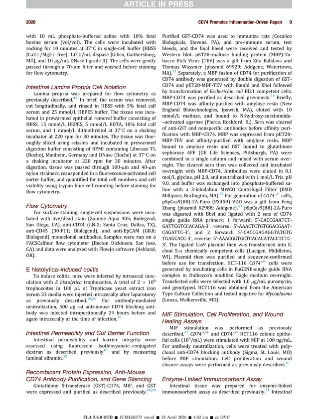 A study describing how the MIF cytokine/CD74 receptor pathway heals the ...