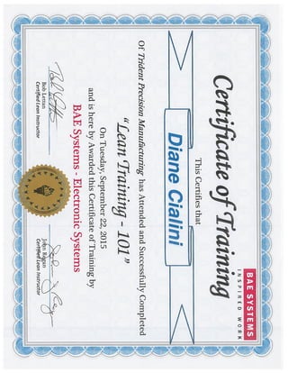 Diane BAE Systems Lean Training Trident Document | PDF