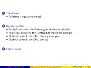CDAC 2018 Angaroni optimal control | PPT
