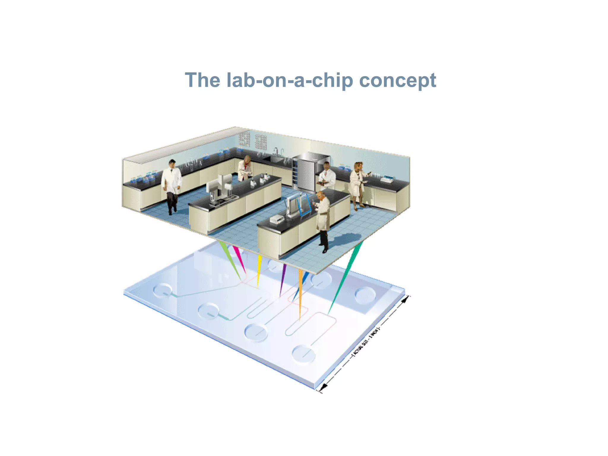 CDAC 2018 Dubini microfluidic technologies for single cell manipulation ...