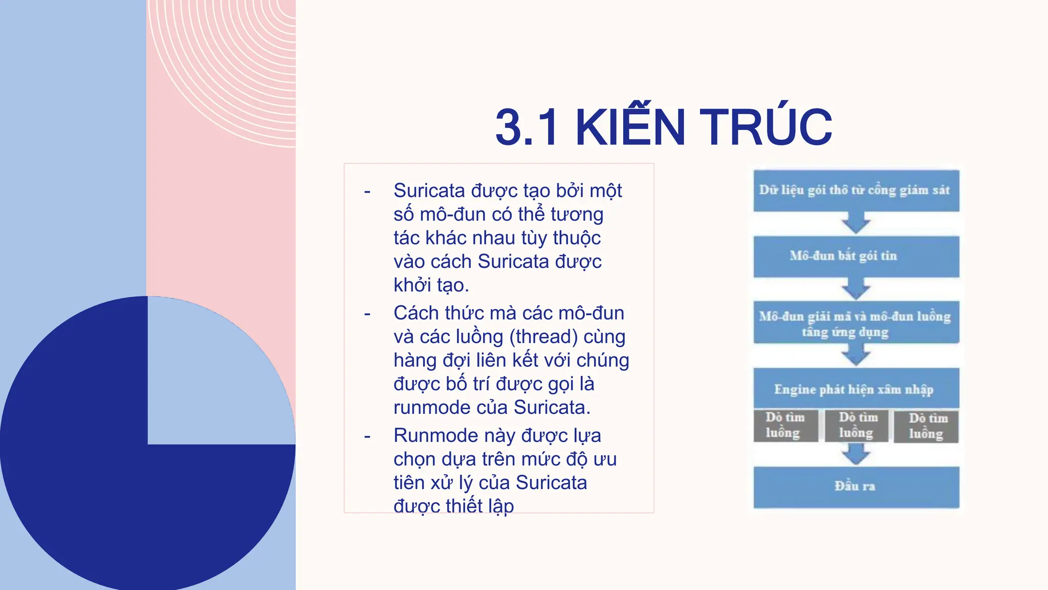 suricata giới thiệu, cách sử dụng, hoàn cảnh sử dụng | PPTX