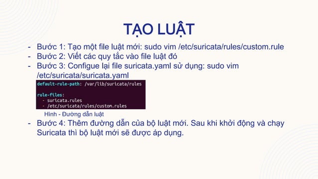 suricata giới thiệu, cách sử dụng, hoàn cảnh sử dụng | PPTX