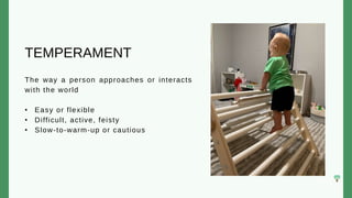 Sense of Self and Social Emotional Development | PPTX