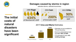 The Real Economic Cost of Disaster and How to Build Resilience | PDF