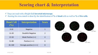 CDC-XM / Complement dependent cytotoxicity -crossmatch | PPTX