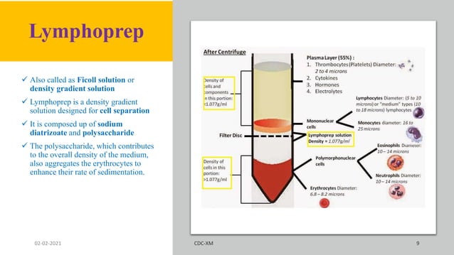CDC-XM / Complement dependent cytotoxicity -crossmatch | PPTX | Blood ...