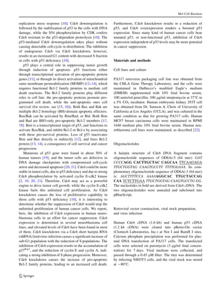 Cdc6 knockdown inhibits human neuroblastoma cell proliferation | PDF