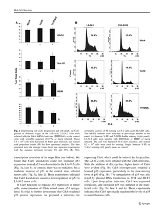 Cdc6 knockdown inhibits human neuroblastoma cell proliferation | PDF